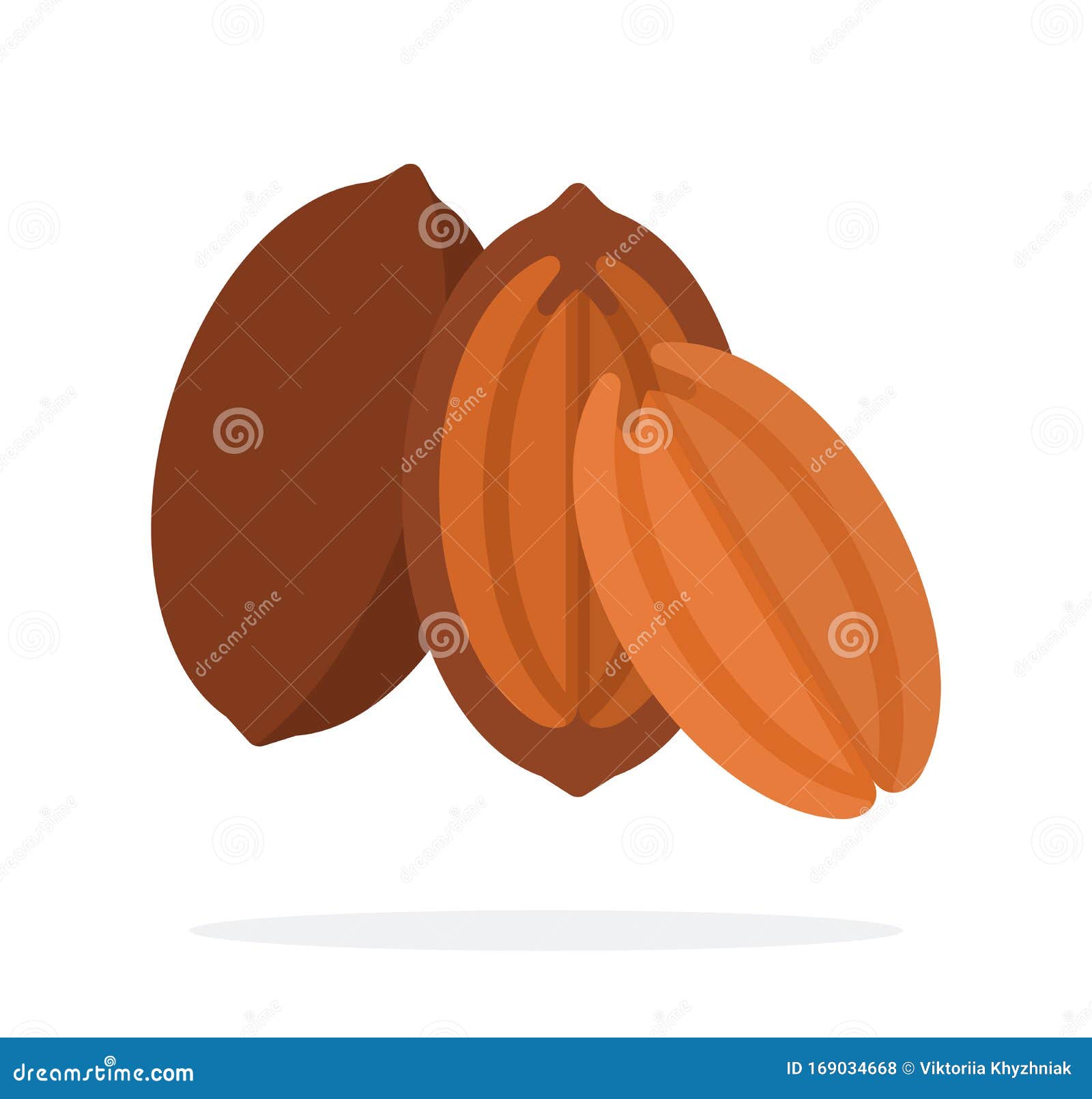 Pecan in the Shell, Half Pecan and the Kernel of the Pecan Flat ...