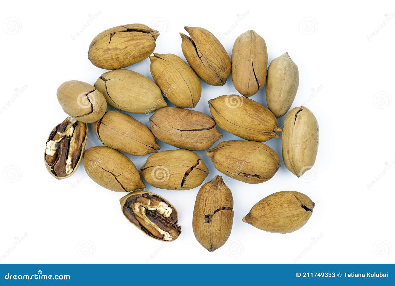 Pecan in a Shell on a White Background Top View. Stock Image - Image of ...