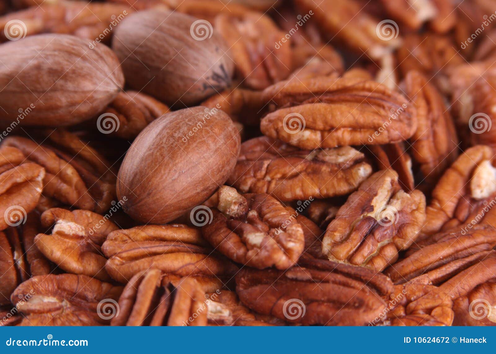 Pecans stock photo. Image of ingredient, cluster, health - 10624672