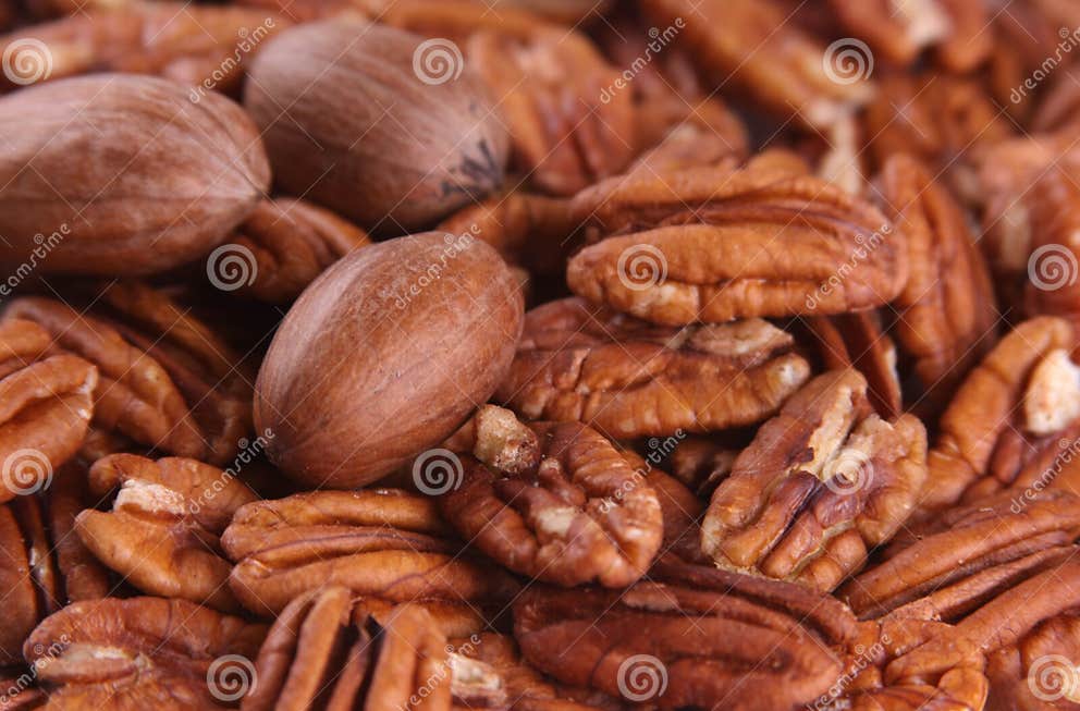 Pecans stock photo. Image of natural, cook, cooking, hull - 10624672
