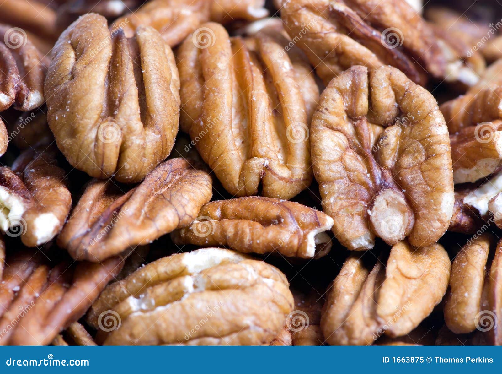 Pecans stock image. Image of cooking, premium, texture - 1663875