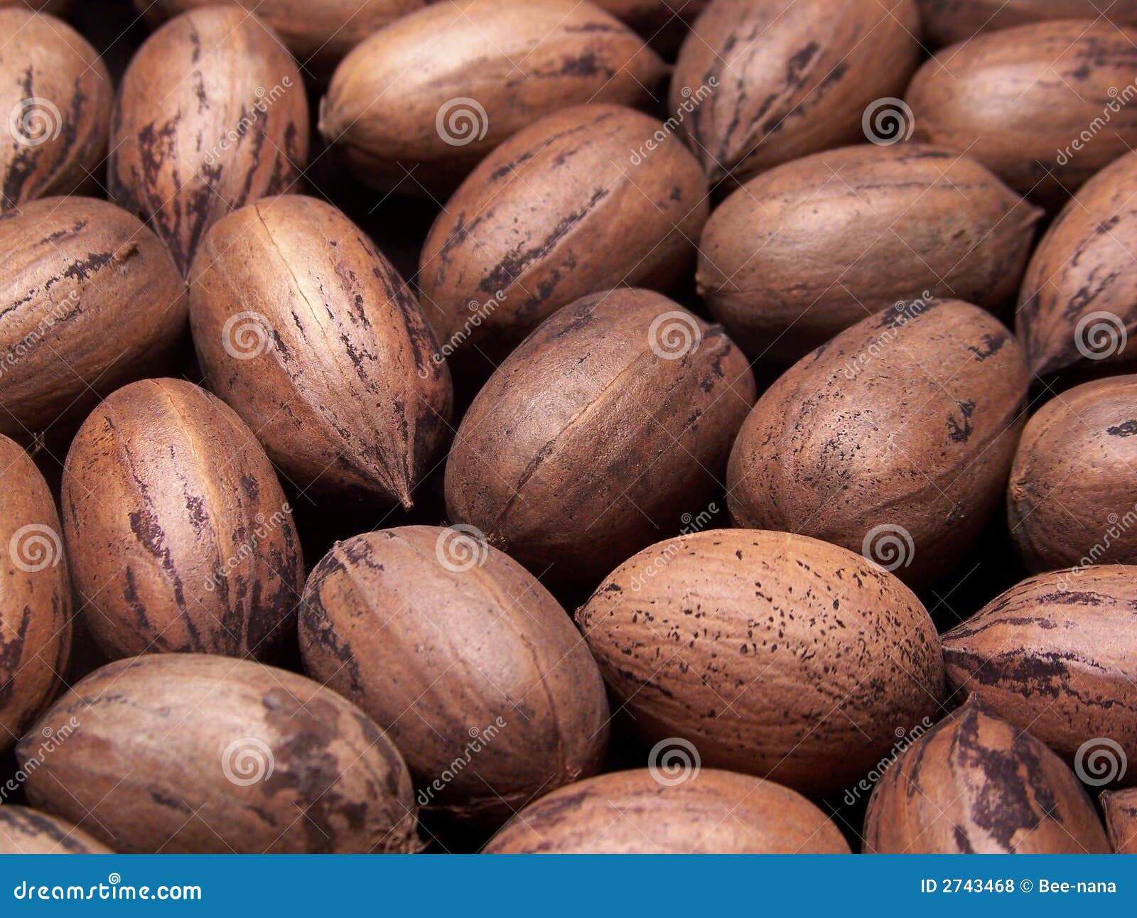 Pecans stock photo. Image of pecans, oval, shell, brown - 2743468