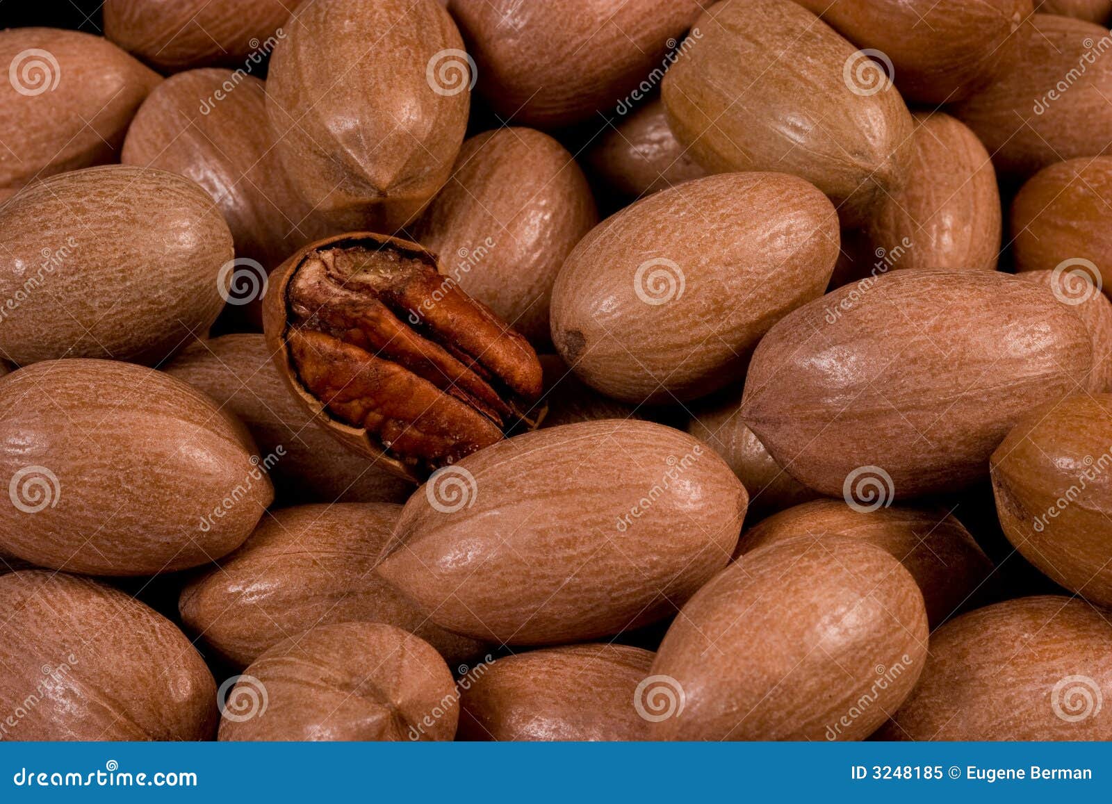 Pecans Stock Image | CartoonDealer.com #3248185
