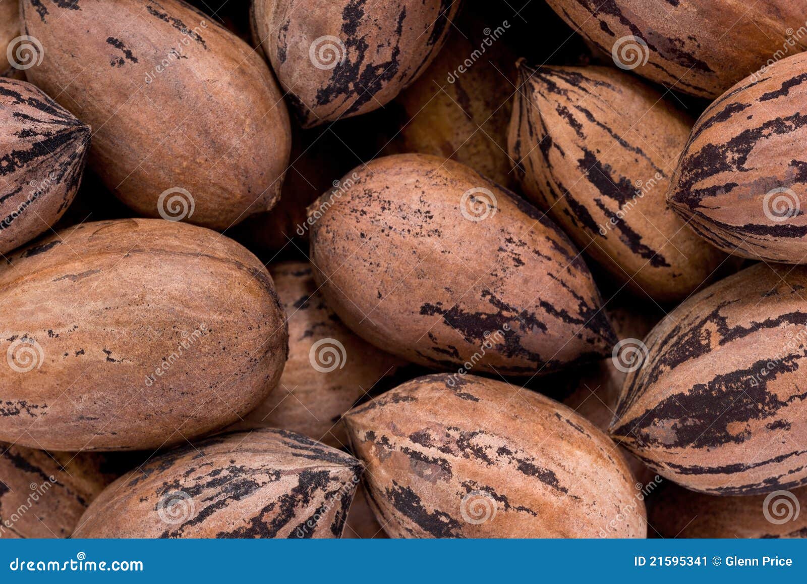 Pecans (Carya Illinoinensis) Stock Image - Image of healthy, ingredient ...