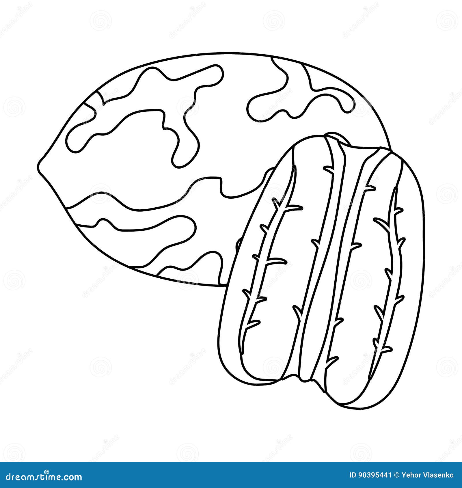 Pecans.Different Kinds of Nuts Single Icon in Outline Style Vector ...