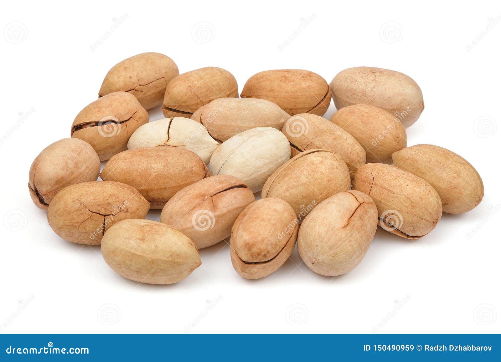 Pecans Unpeeled Kernels Isolated on White Background Stock Image ...
