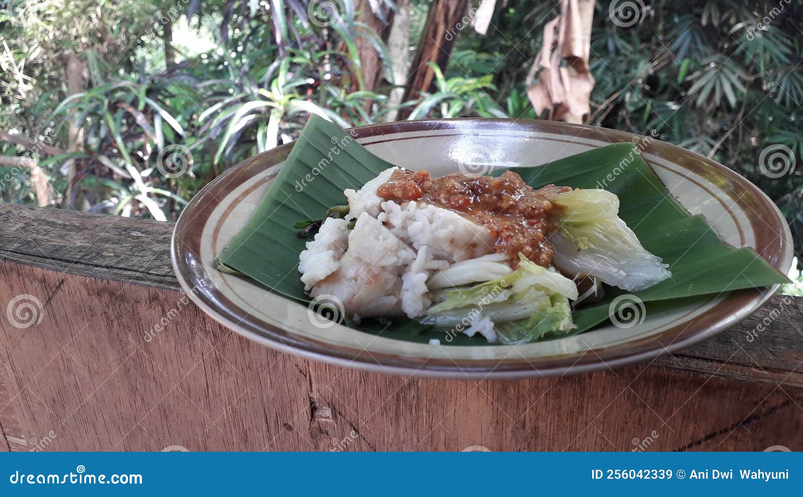Pecel or Javanese Salad on Plate Stock Image - Image of vegetable, food ...