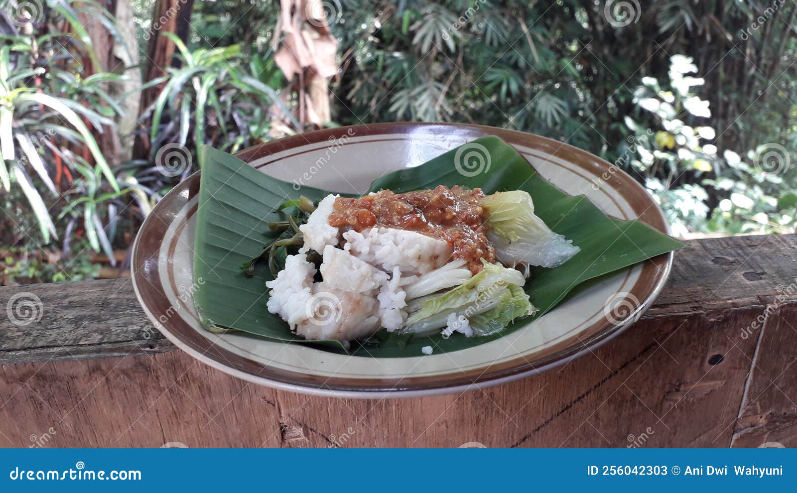 Pecel or Javanese Salad on Plate Stock Image - Image of pecel, fish ...