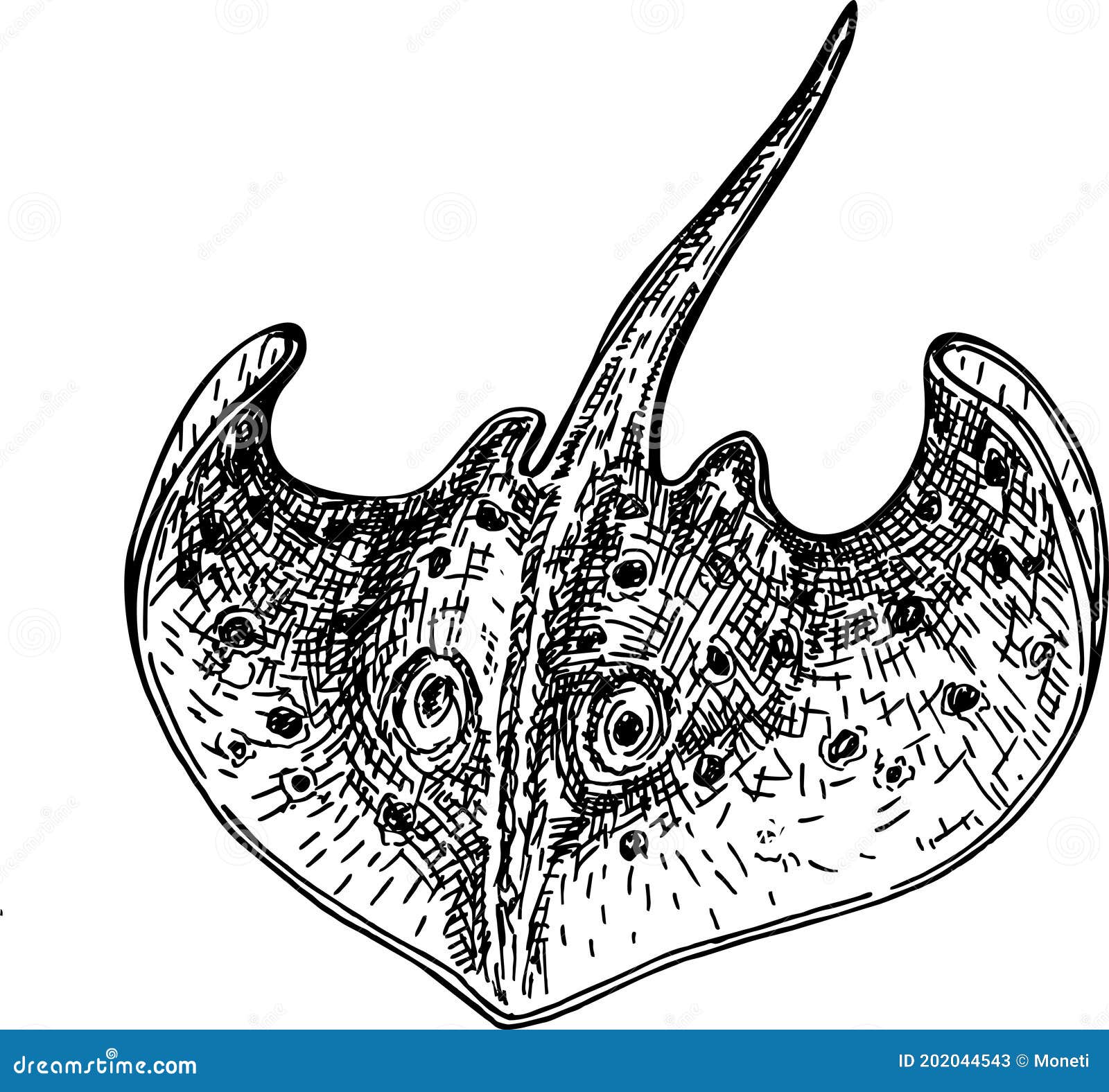 Peces De Mantarraya Del Dibujo. Dibujo De Tinta De Marisco. Ejemplo ...