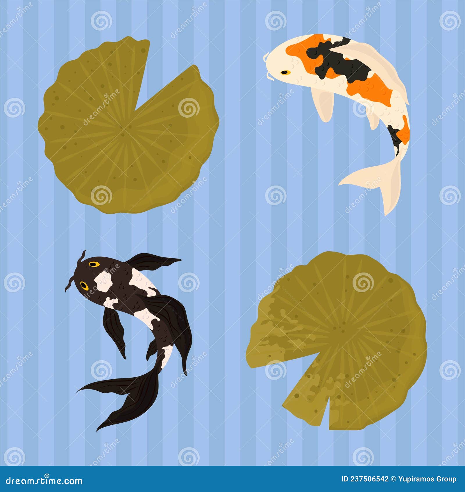 Peces koi y hojas ilustración del vector. Ilustración de hojas - 237506542