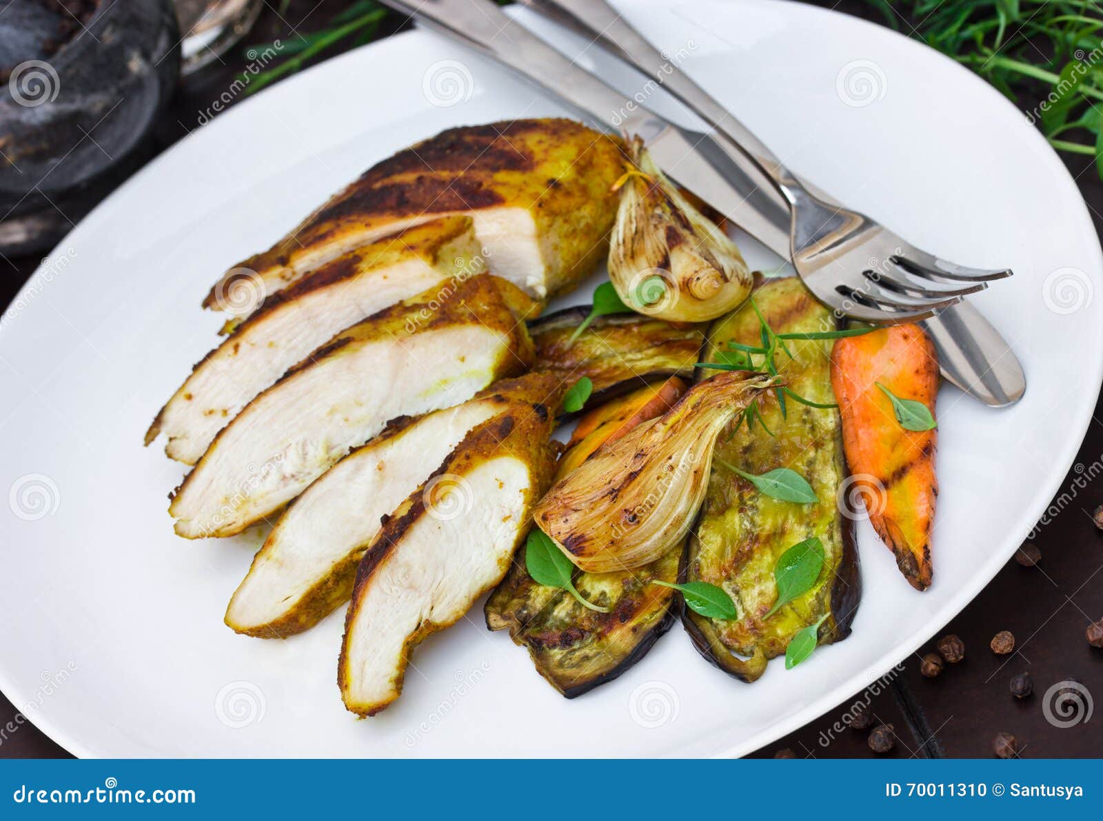 Pechuga De Pollo En El Estilo Indio Foto de archivo - Imagen de ...