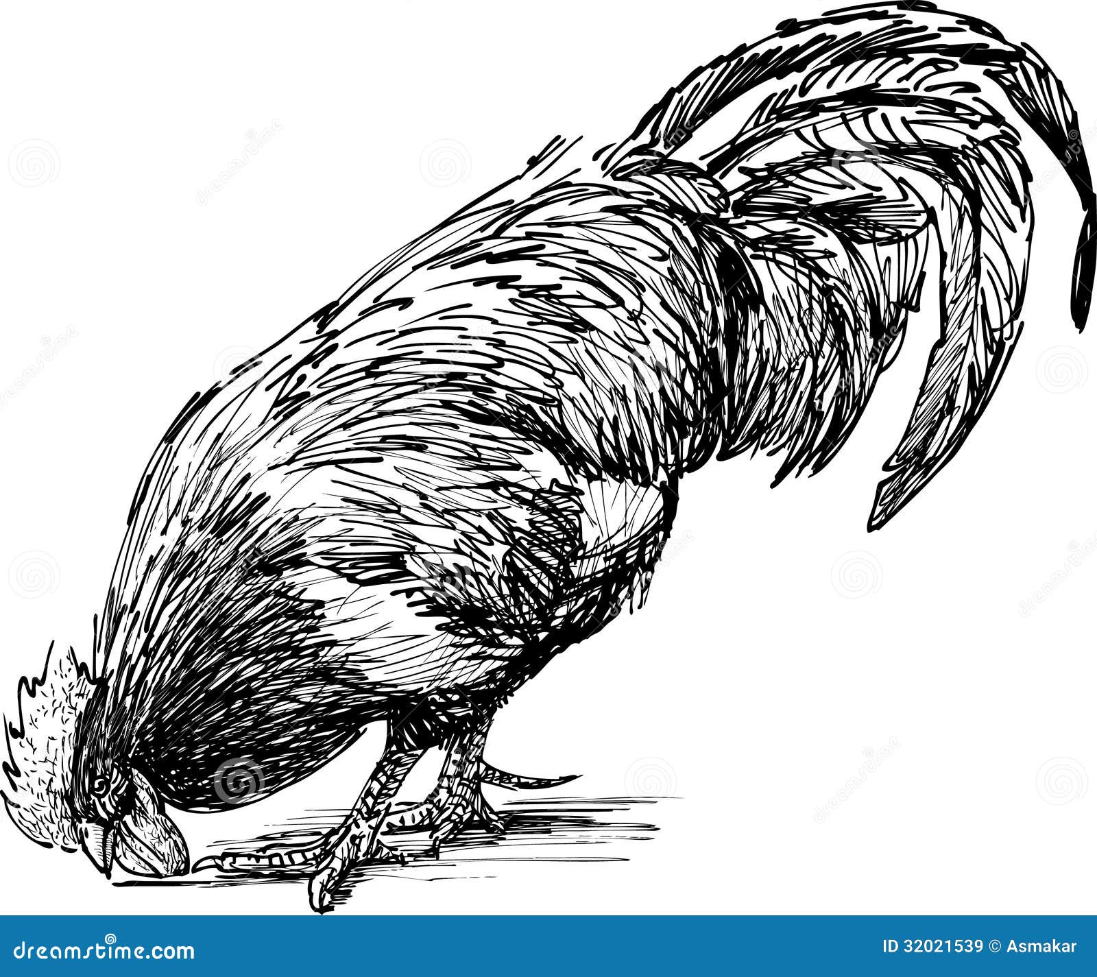 Pecking Rooster Cartoon Vector | CartoonDealer.com #32021539