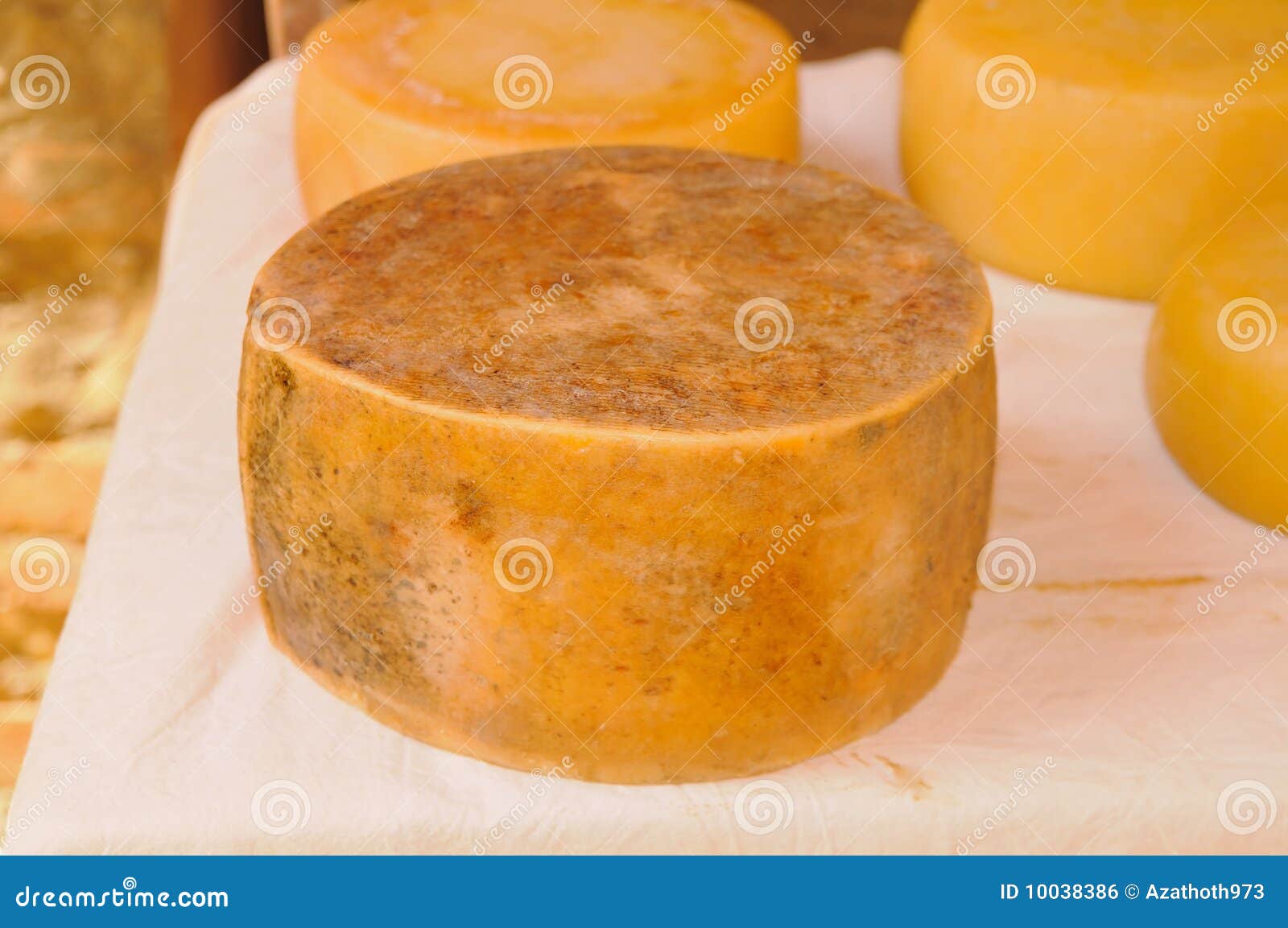 Pecorino Cheese stock photo. Image of dried, genuine - 10038386