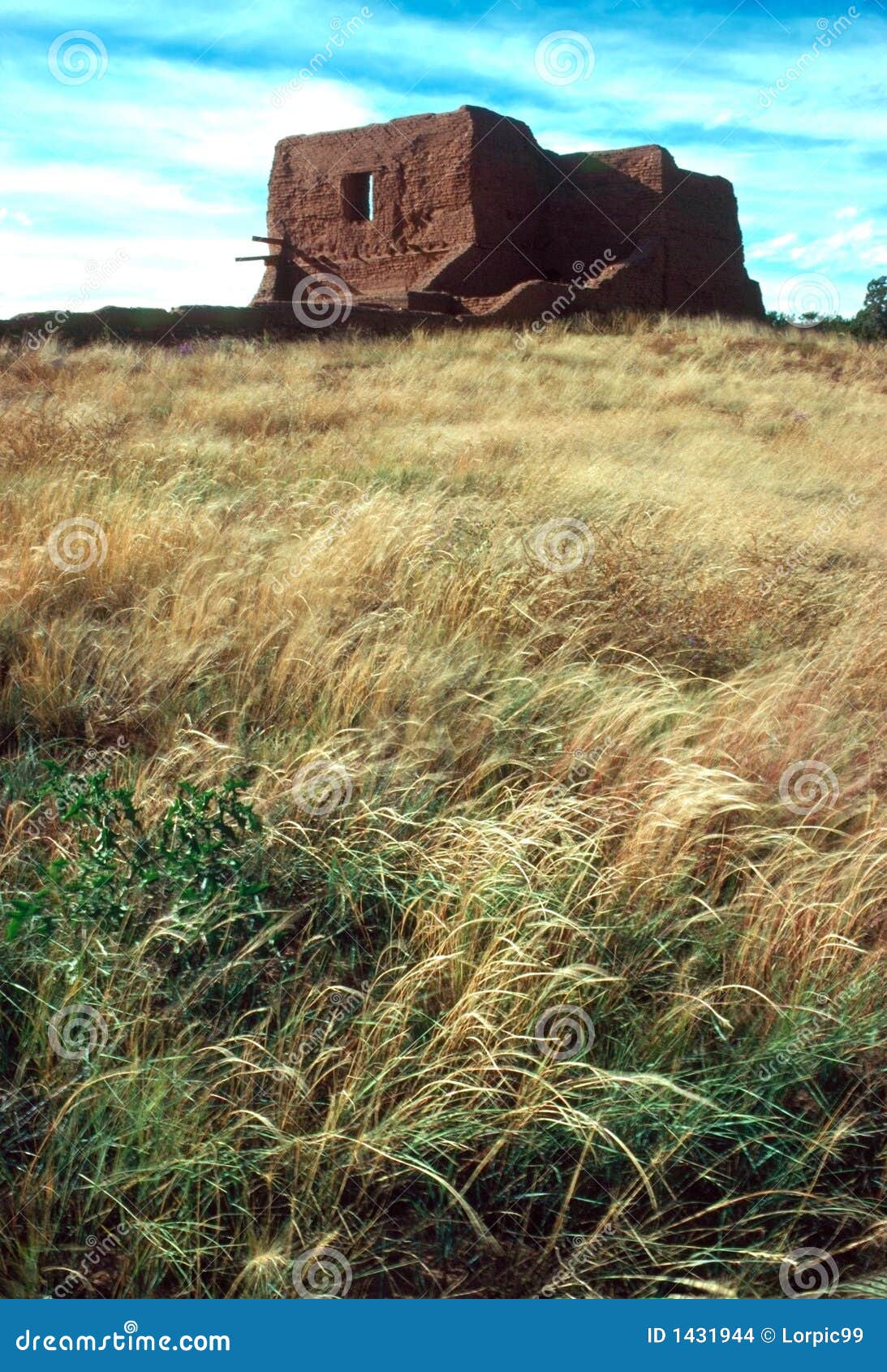 PECOS stock photo. Image of paiute, mexico, ancient, americana - 1431944