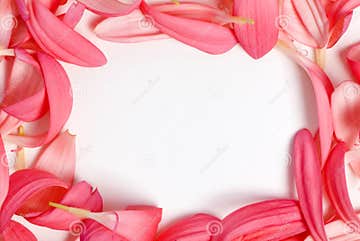 Pedal Border stock image. Image of pedals, bloom, love - 1802629