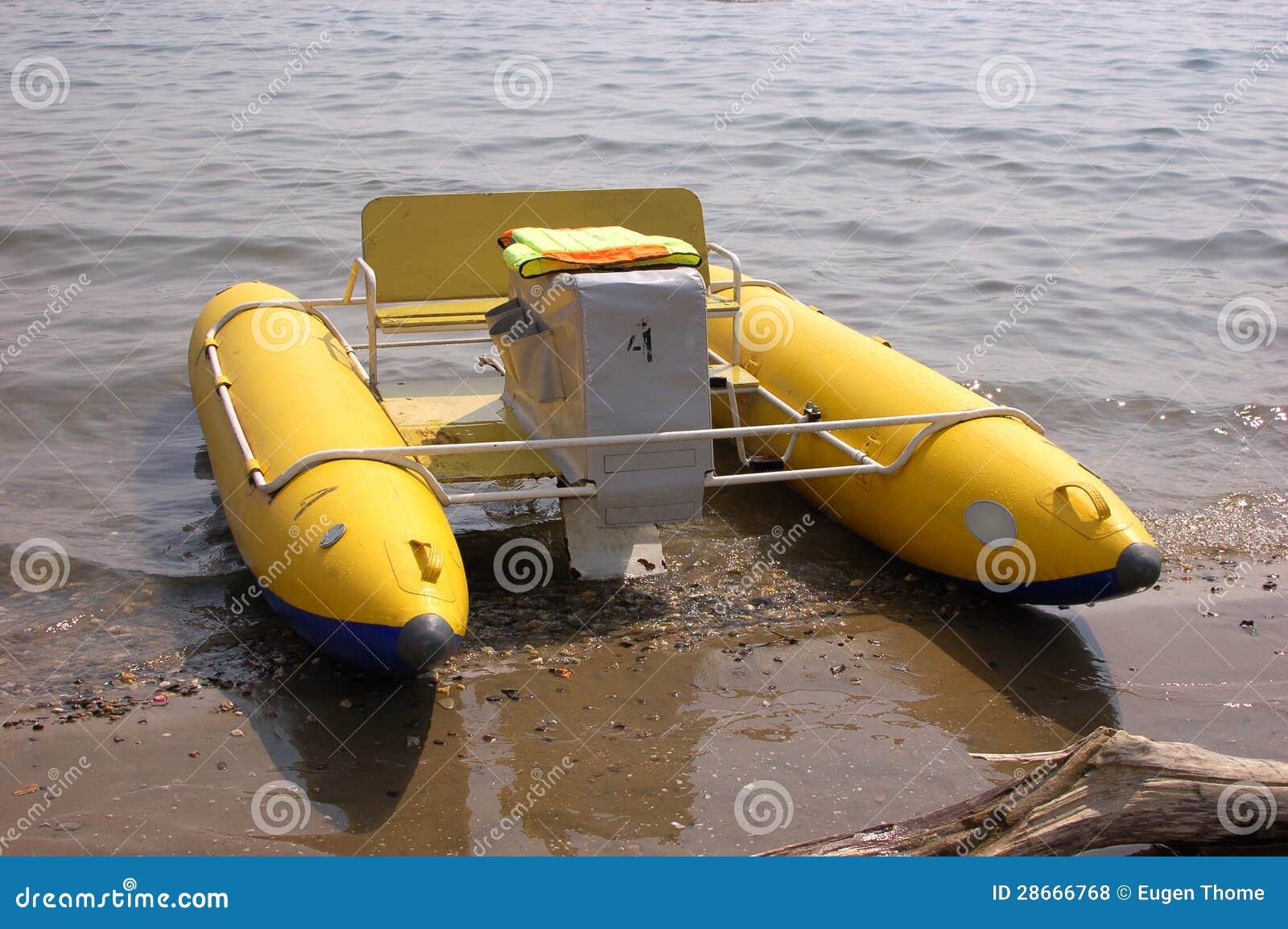 Pedalo stock photo. Image of lake, strength, pedalo, muscle - 28666768