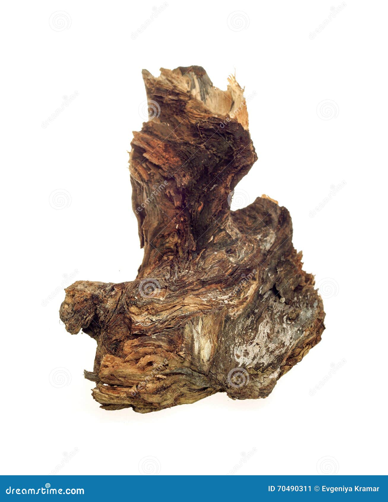 Pedazo De Madera En Un Fondo Blanco Imagen de archivo - Imagen de ...