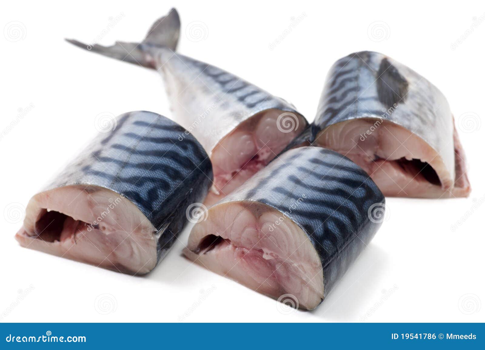 Pedazos de caballa tajada foto de archivo. Imagen de coma - 19541786