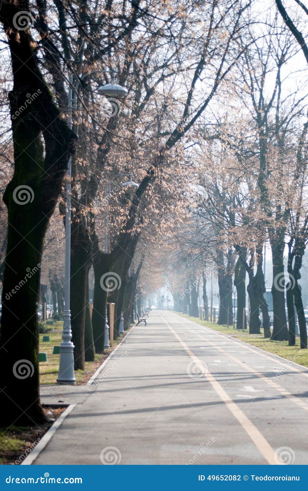 Pedestrian alley stock photo. Image of healthy, fitness - 49652082