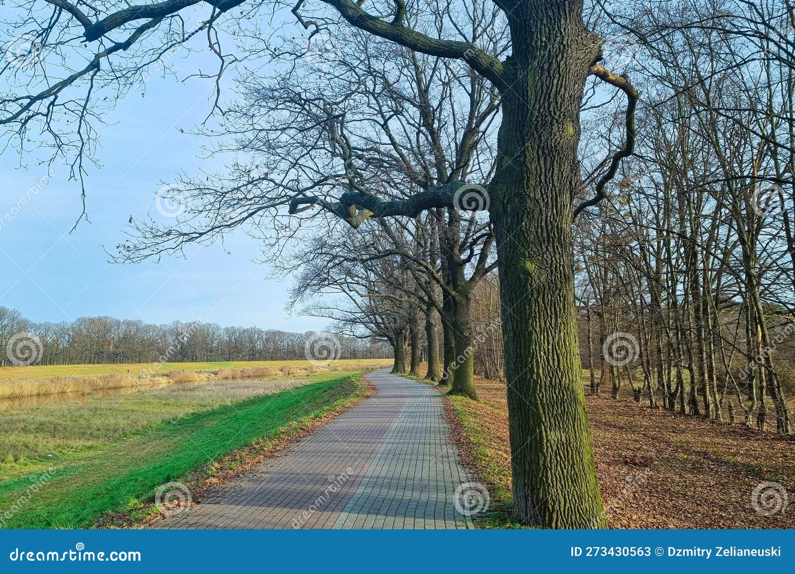 Pedestrian and Bicycle Path Along the River and Trees. Stock Image ...