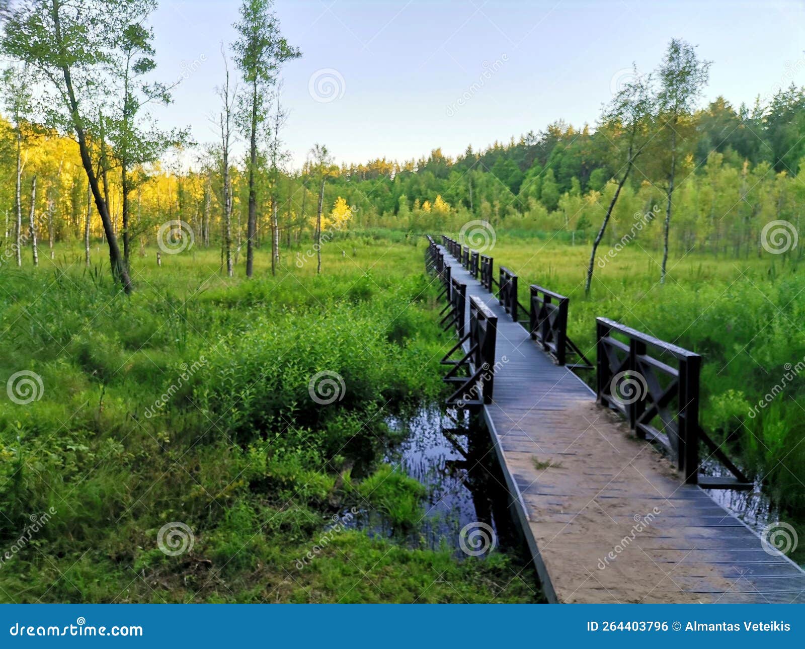 Pedestrian Bridge Across the Swamp 2 Stock Photo - Image of river ...