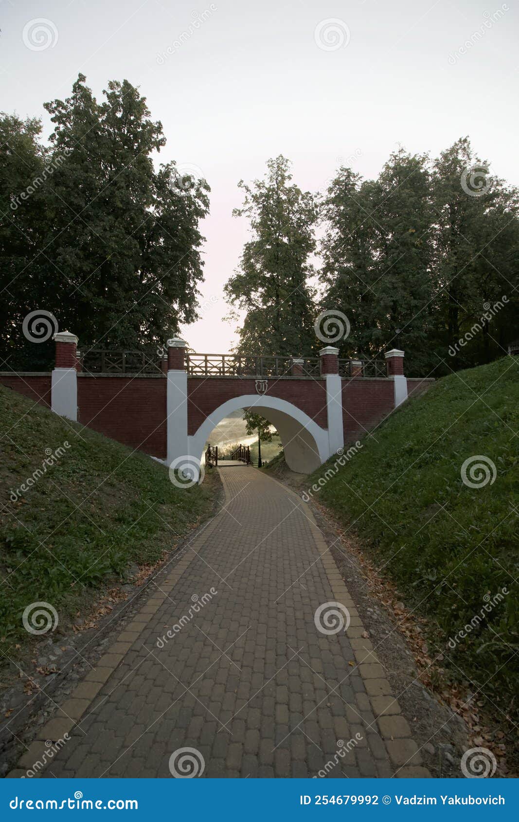 Pedestrian Bridge with an Arch in the City Park. the Camera Installed ...