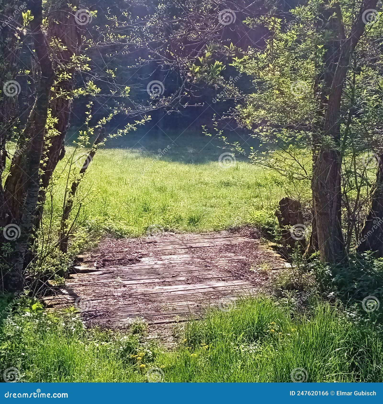 A Pedestrian Bridge or Footbridge Stock Photo - Image of bridle ...