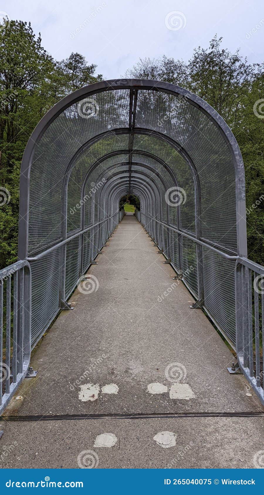 Pedestrian Bridge with Metal Arch Stock Image - Image of arch, park ...