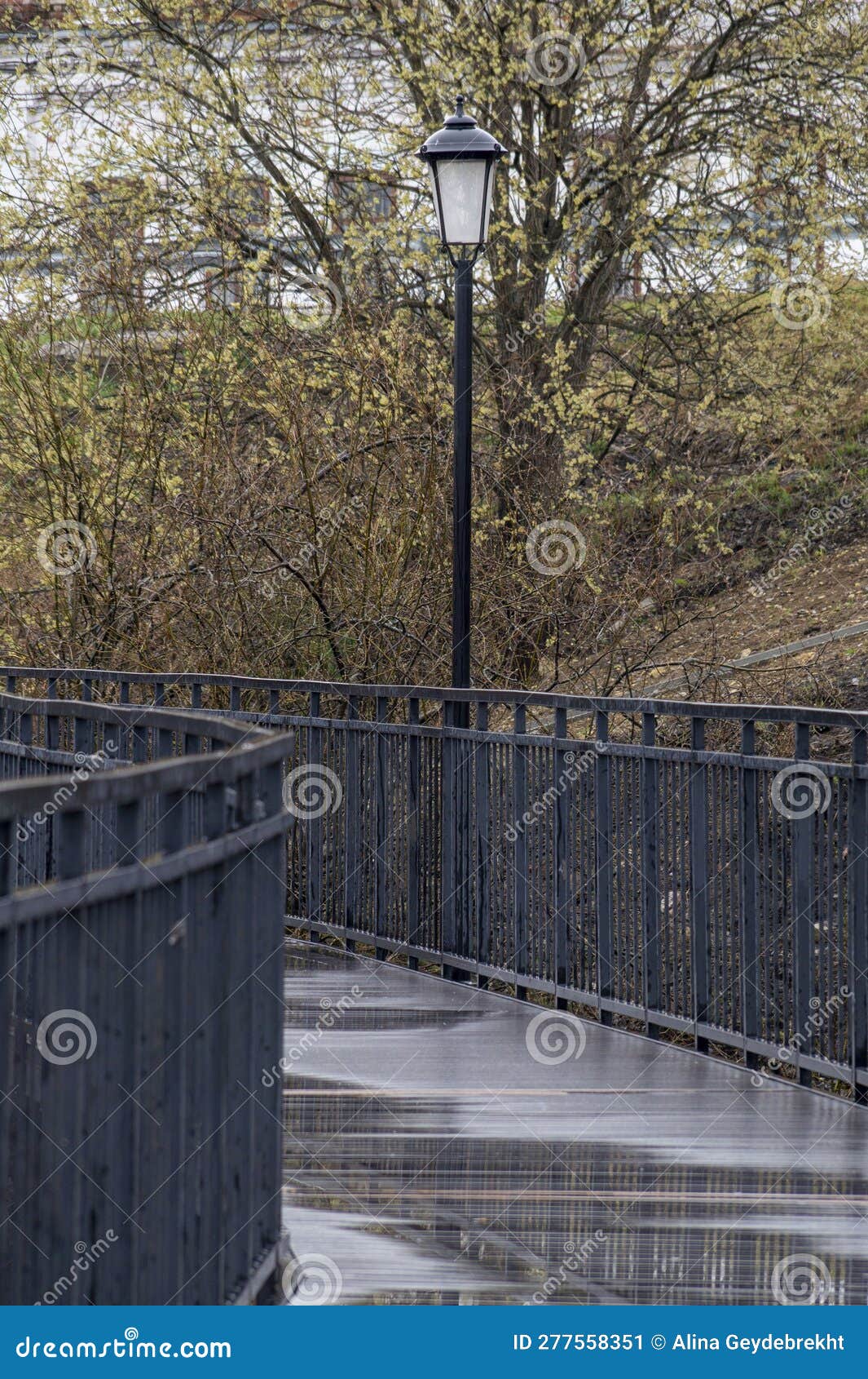 Pedestrian Bridge on a Spring Rainy Day Stock Image - Image of branch ...