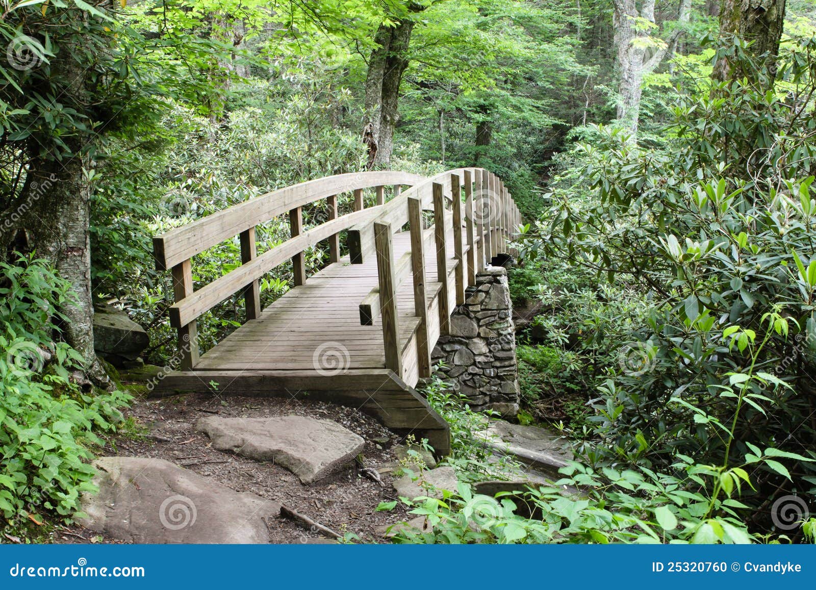 Pedestrian Bridge Trail Blue Ridge Mountains NC Stock Photo - Image of ...