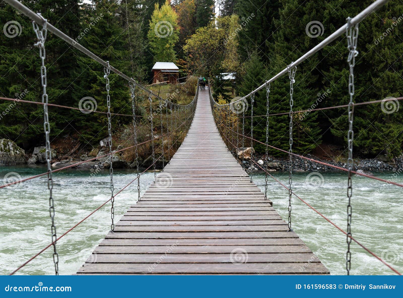 Pedestrian Cable Bridge Over a Mountain River in Autumn Stock Image ...