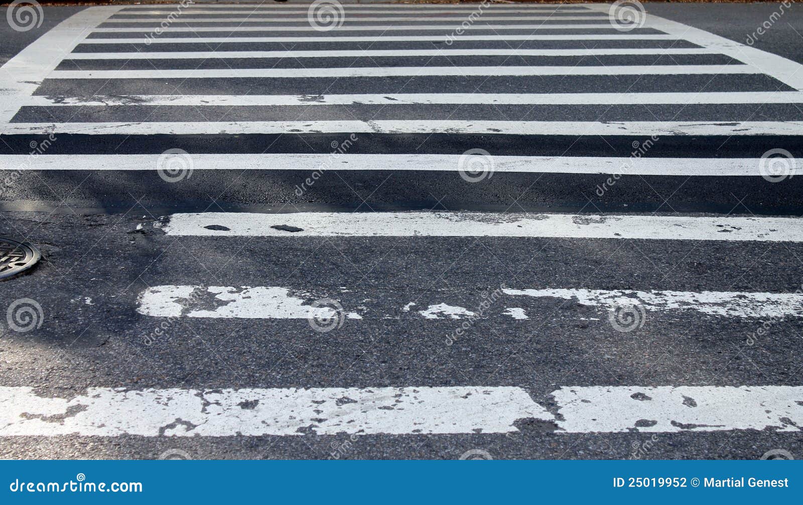 Pedestrian crossing stock photo. Image of lines, york - 25019952