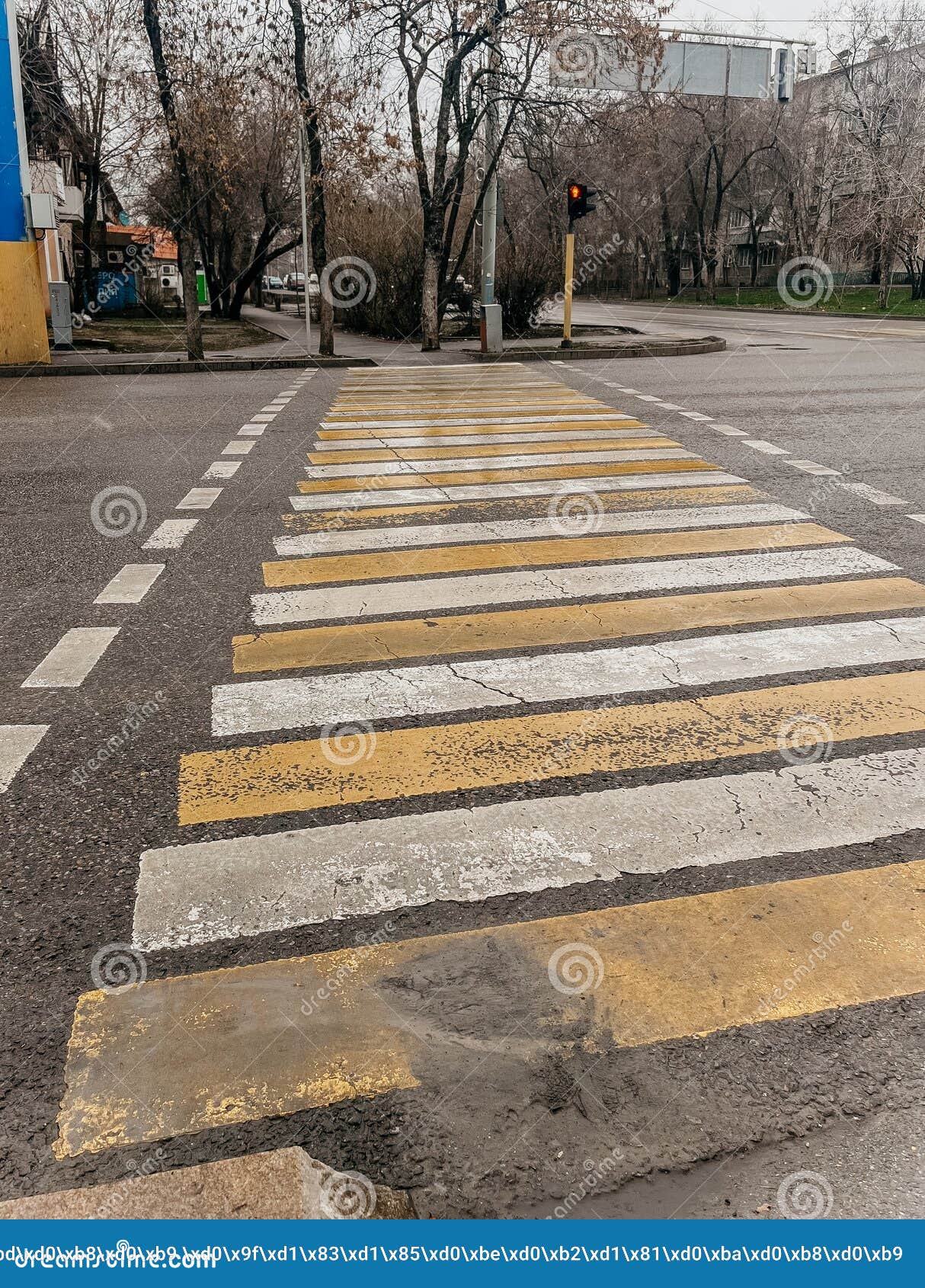 Pedestrian Crossing at the Crossroads in Spring Stock Photo - Image of ...