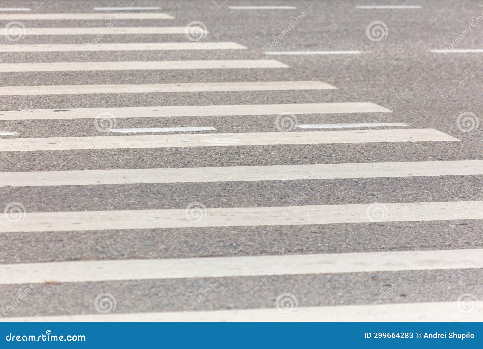Pedestrian Crossing on the Road As a Background Stock Image - Image of ...