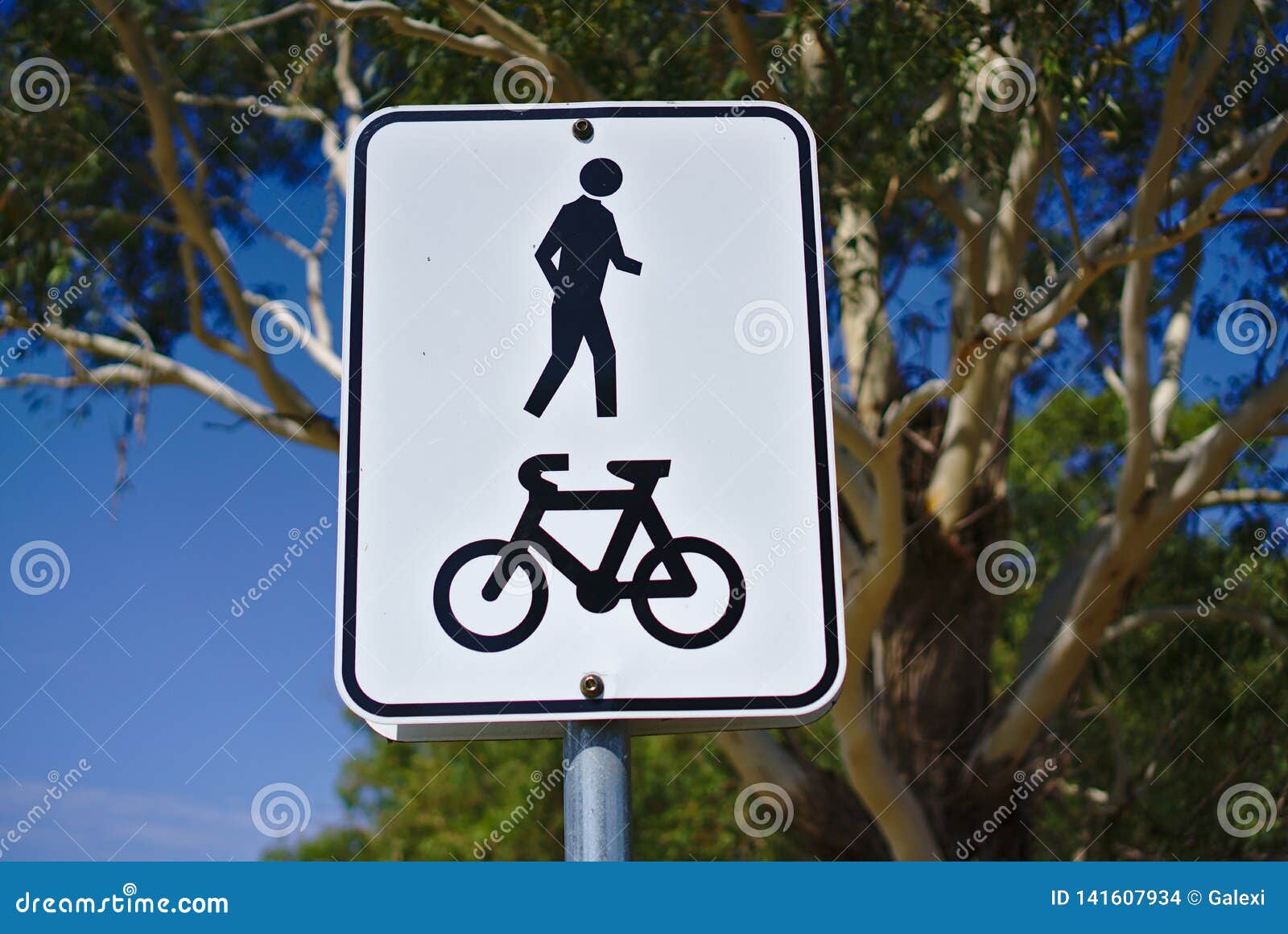 Pedestrian and Cyclist Shared Path Sign Stock Photo - Image of sign ...