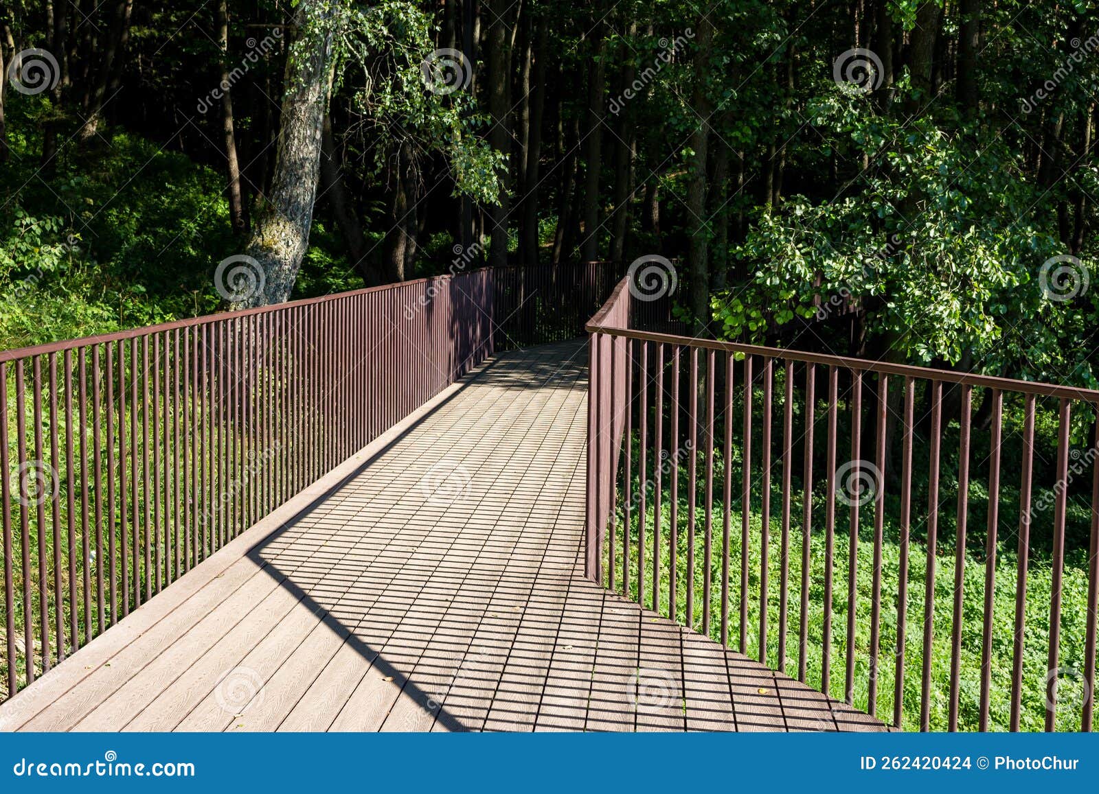 Pedestrian Flooring for Walks Going To the Territory of the Forest Park ...