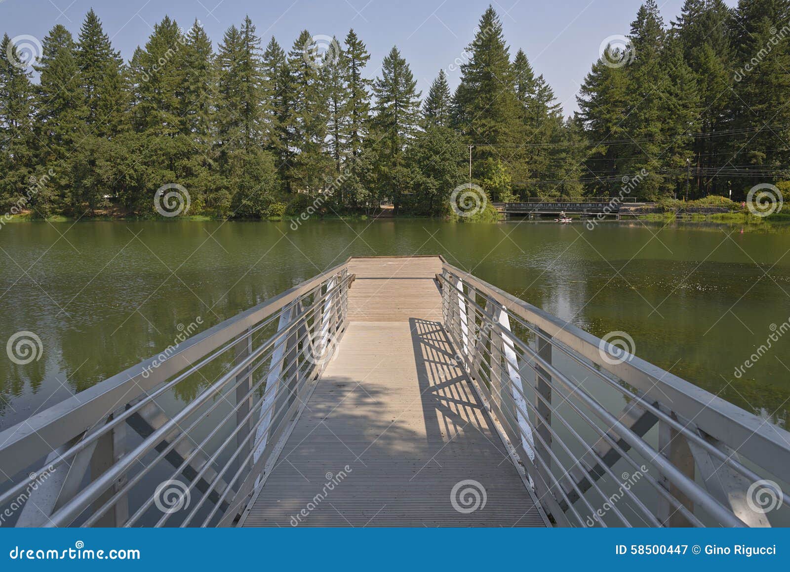 Pedestrian Ladder and Platform on a Lake. Stock Image - Image of metal ...