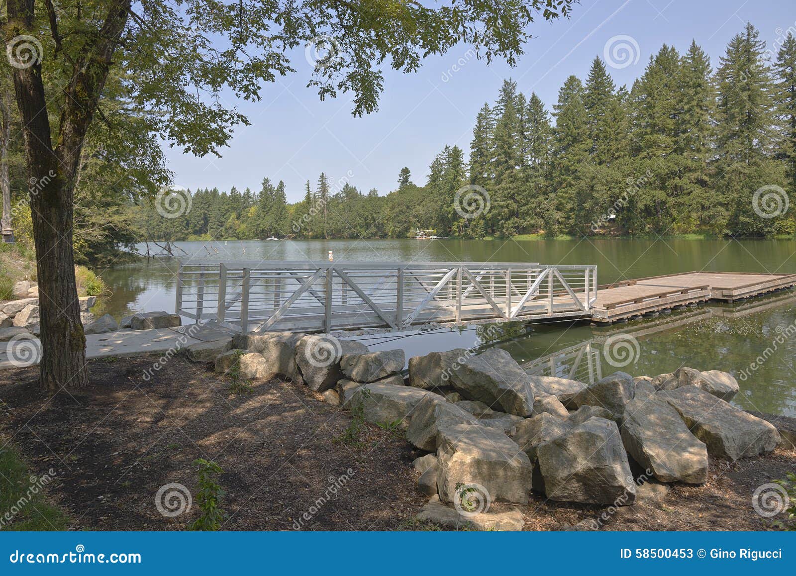 Pedestrian Ladder and Platform on a Lake. Stock Image - Image of forest ...