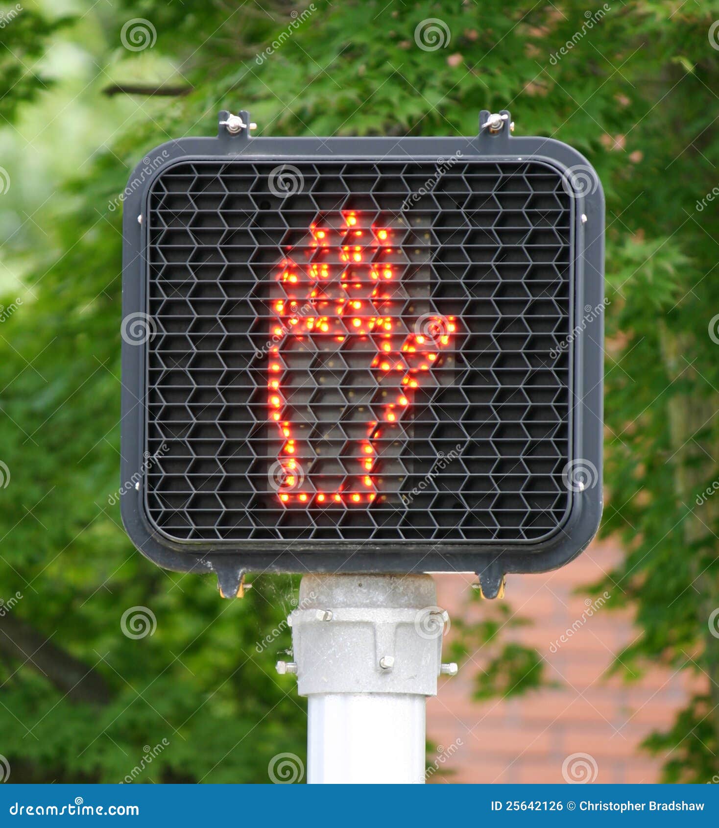 Pedestrian Light stock photo. Image of symbol, stop, illuminated - 25642126