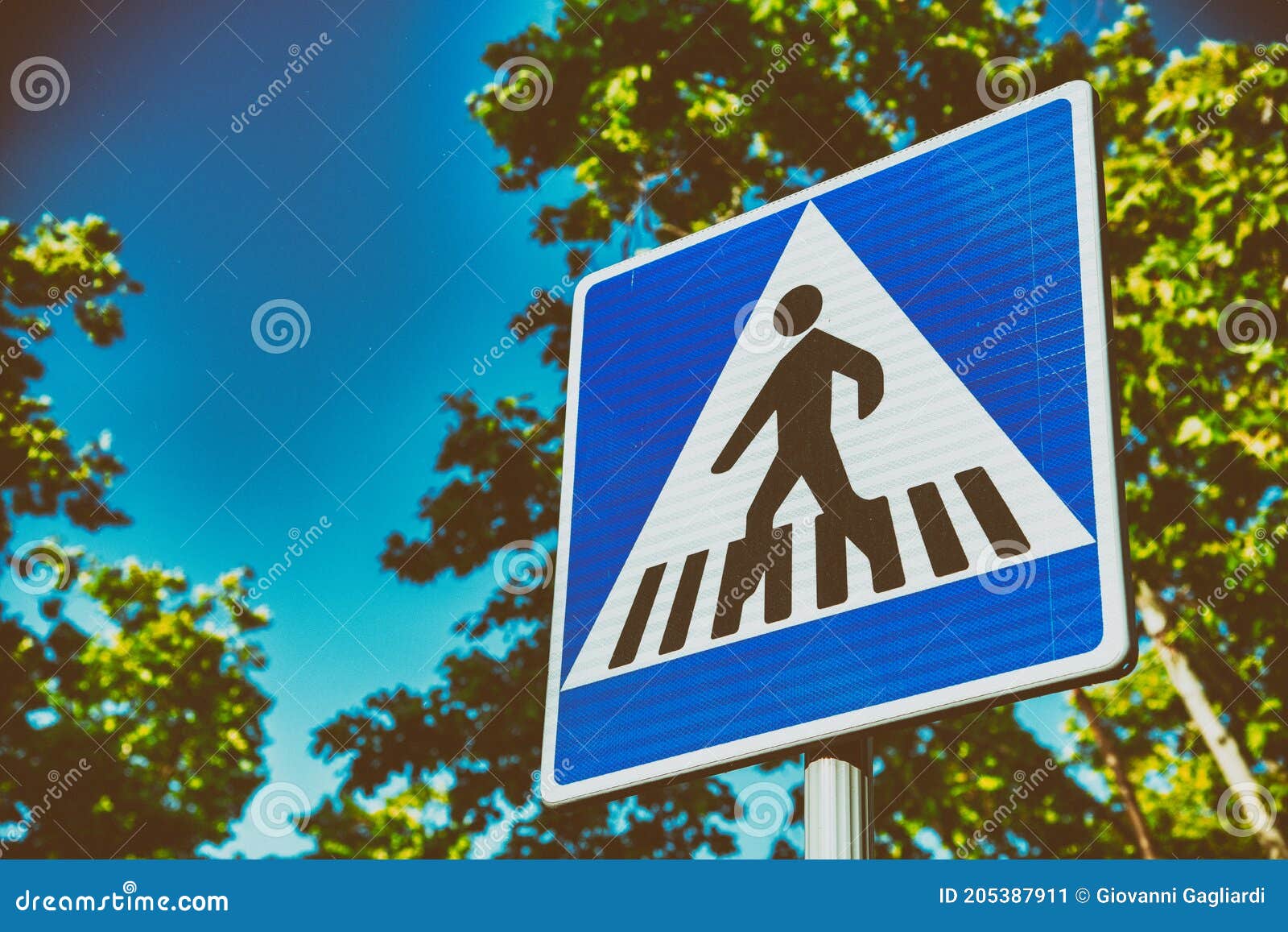 Pedestrian Passage Road Sign with Trees on the Background Stock Image ...