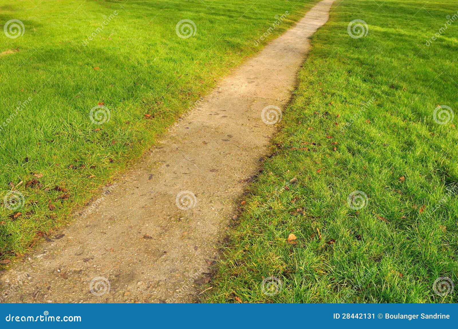 Pedestrian path stock image. Image of garden, track, passage - 28442131