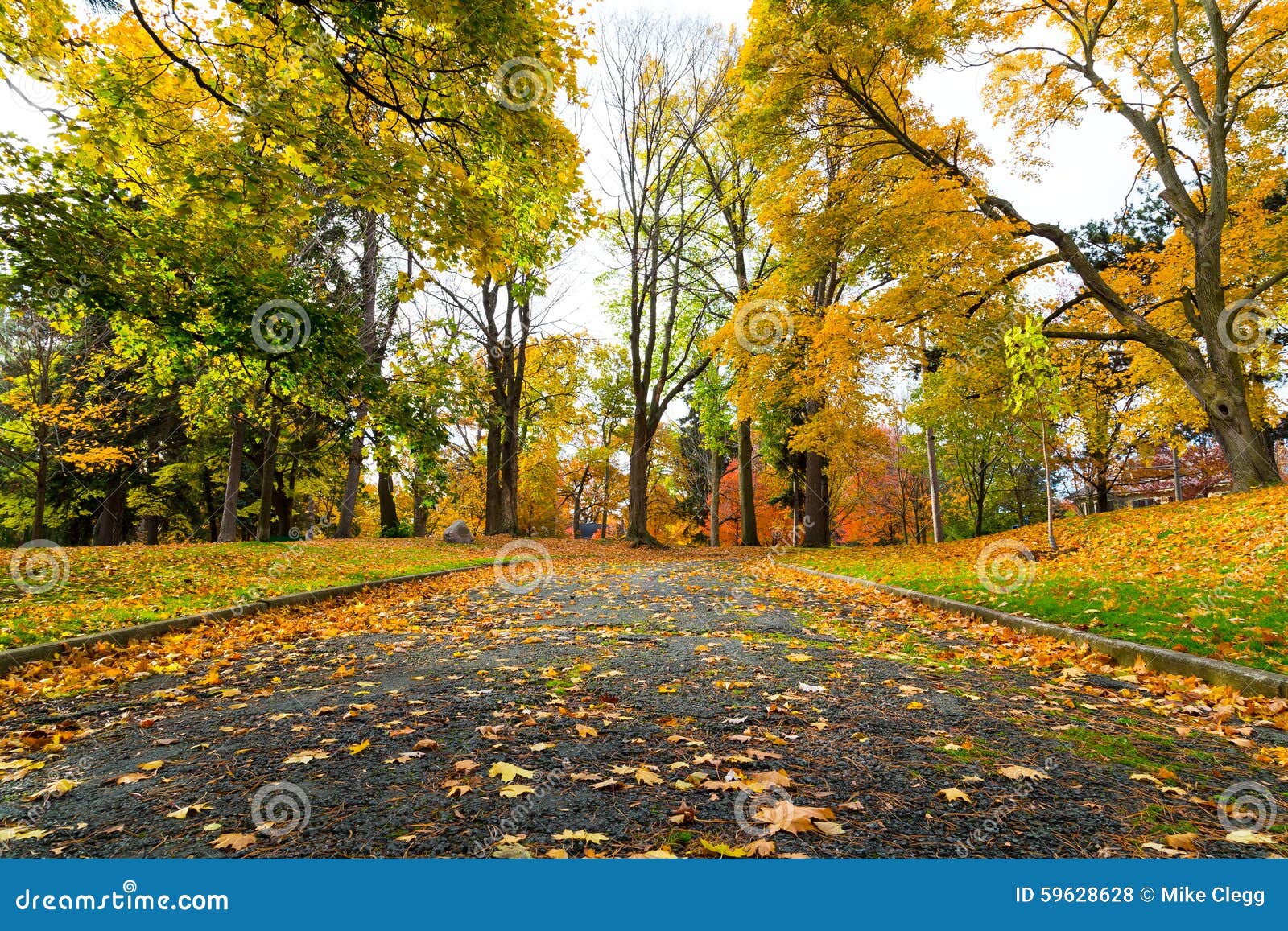 Pedestrian Path in Canada in the Fall Stock Photo - Image of maple ...