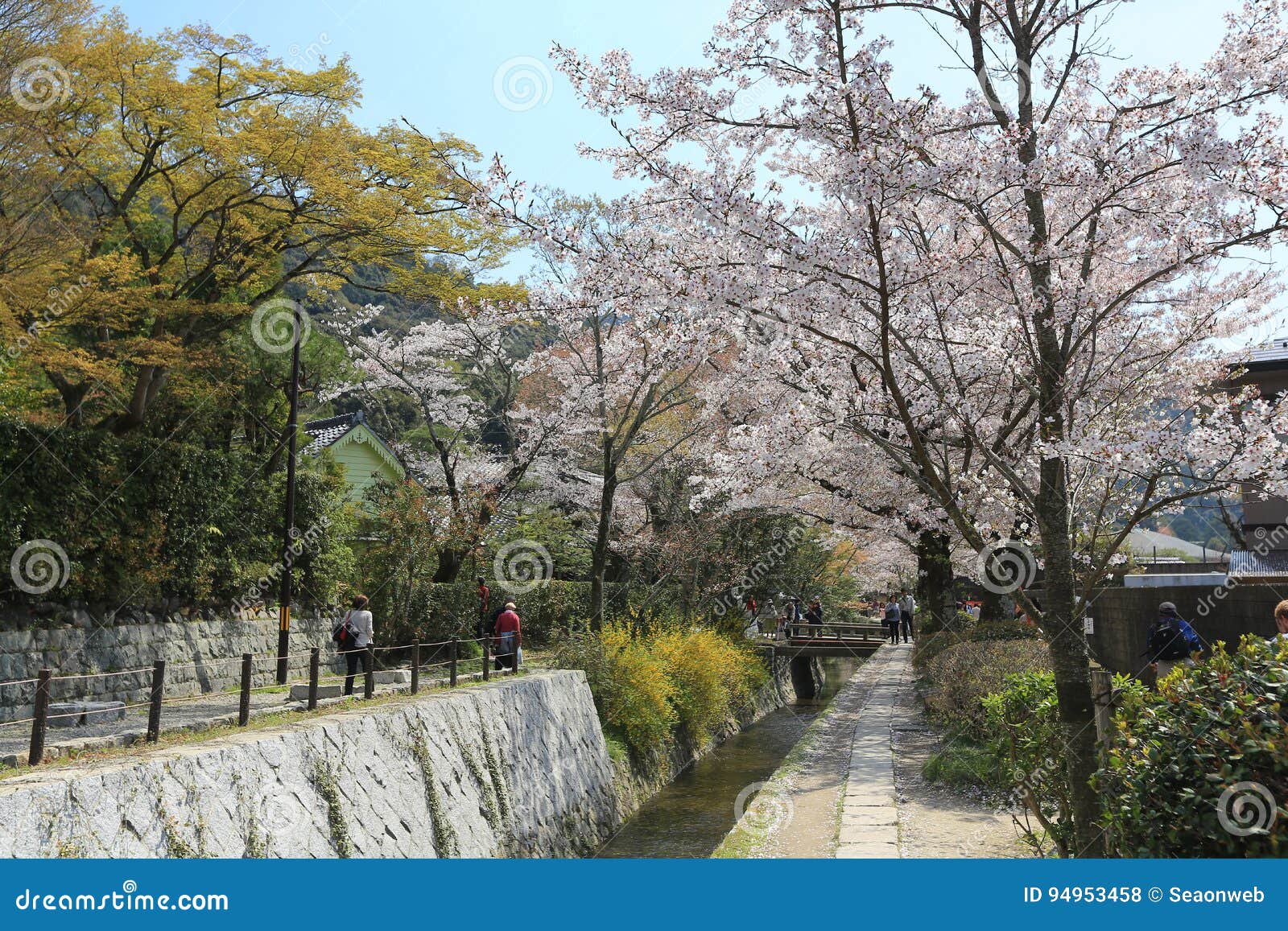 A Pedestrian Path that Follows a Cherry-tree-lined Canal in Kyoto ...