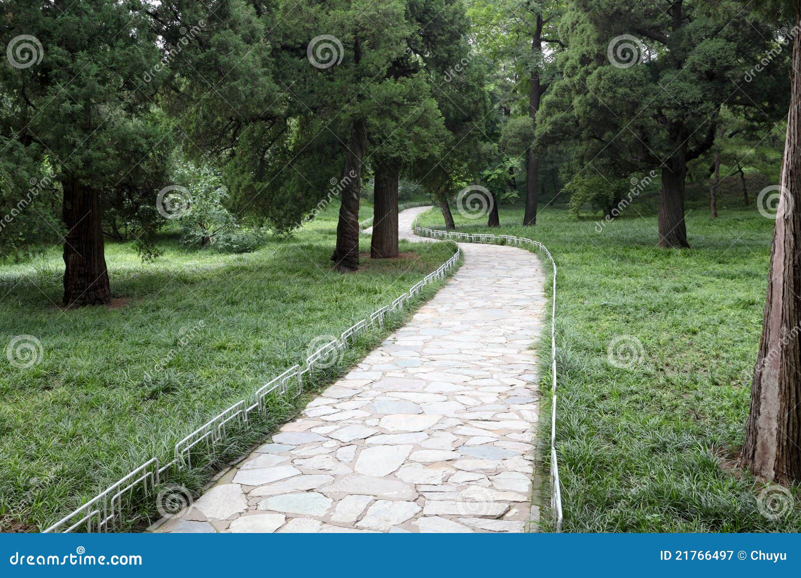 Pedestrian Path in the Forest Park Stock Image - Image of curved ...