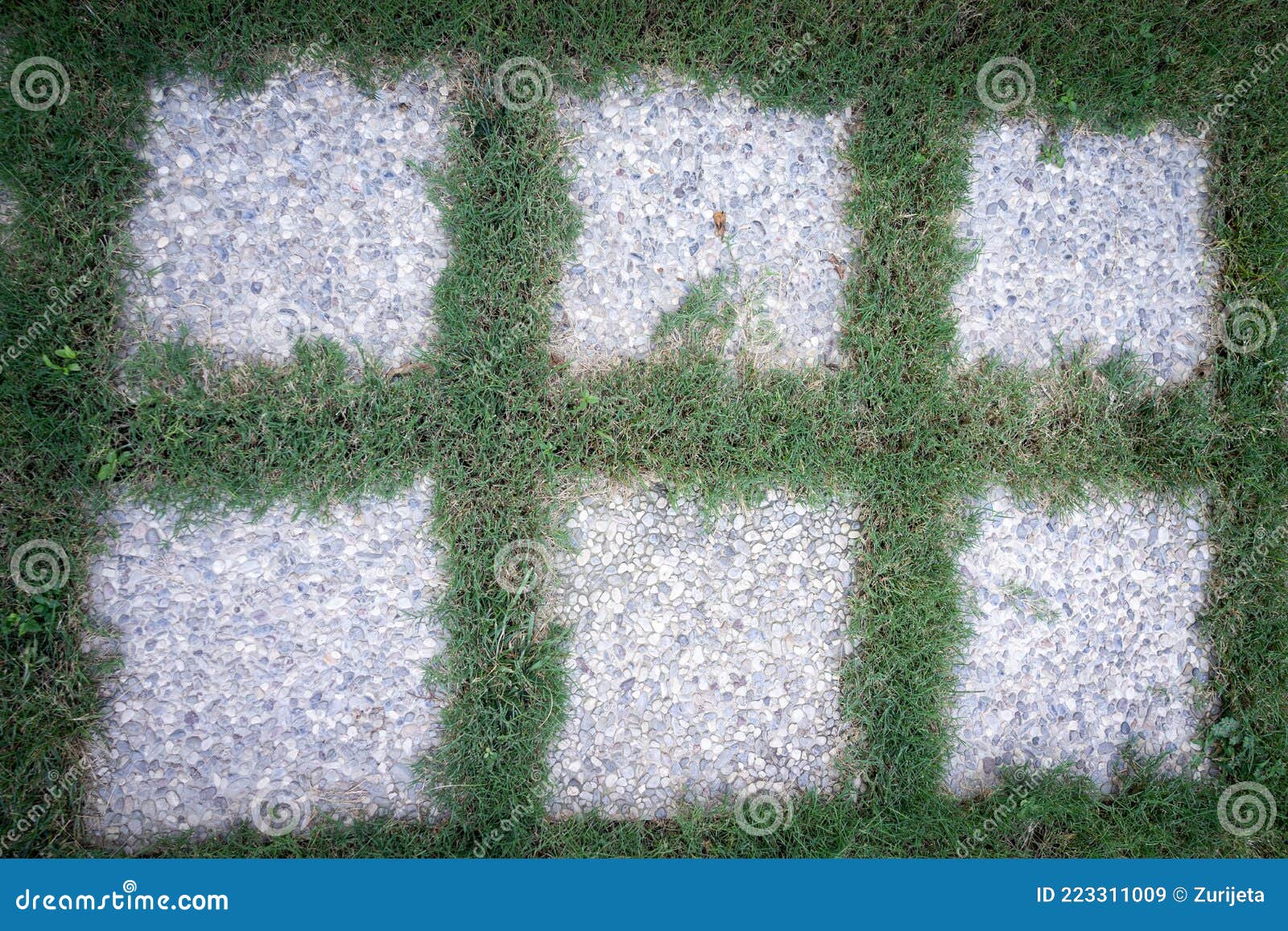 Pedestrian Path on Green Grass Stock Image - Image of grass, stone ...