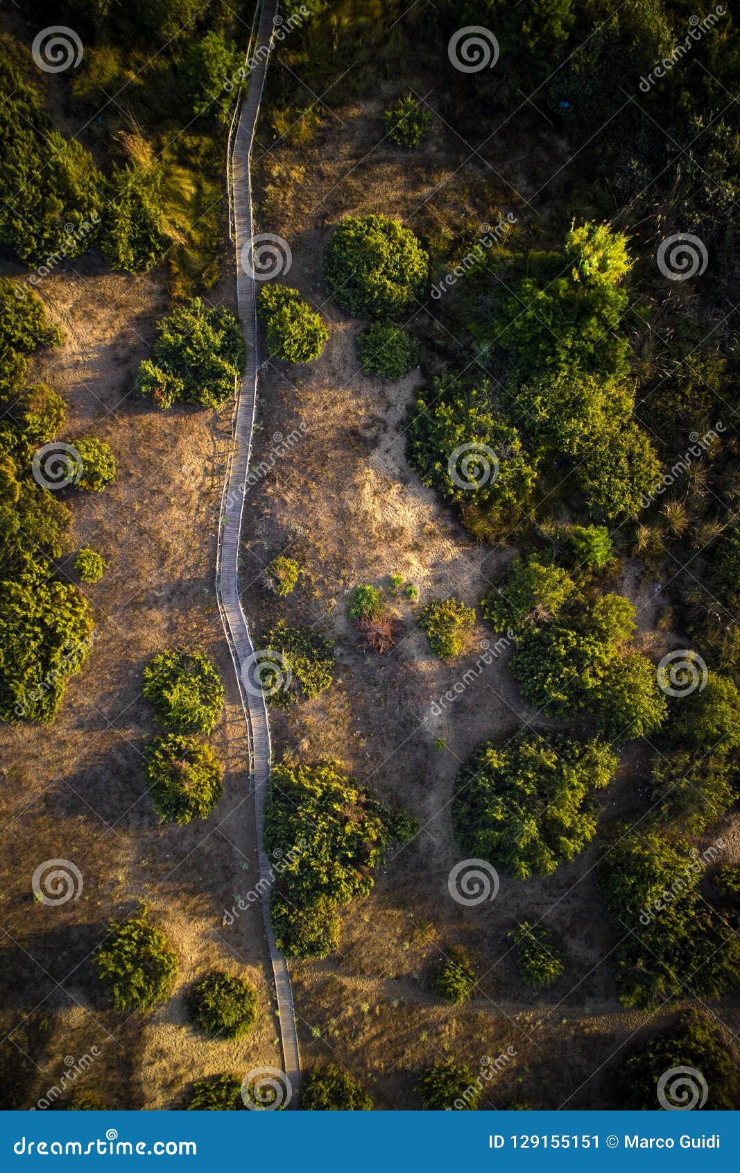 Pedestrian Path for Handicapped People Stock Image - Image of beautiful ...