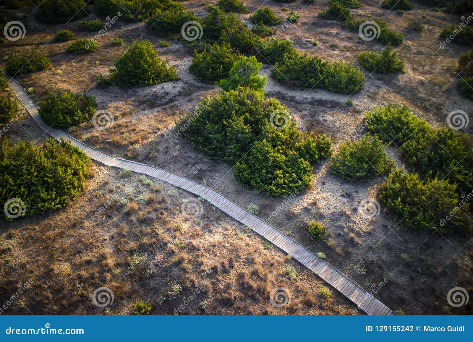 Pedestrian Path for Handicapped People Stock Photo - Image of ...