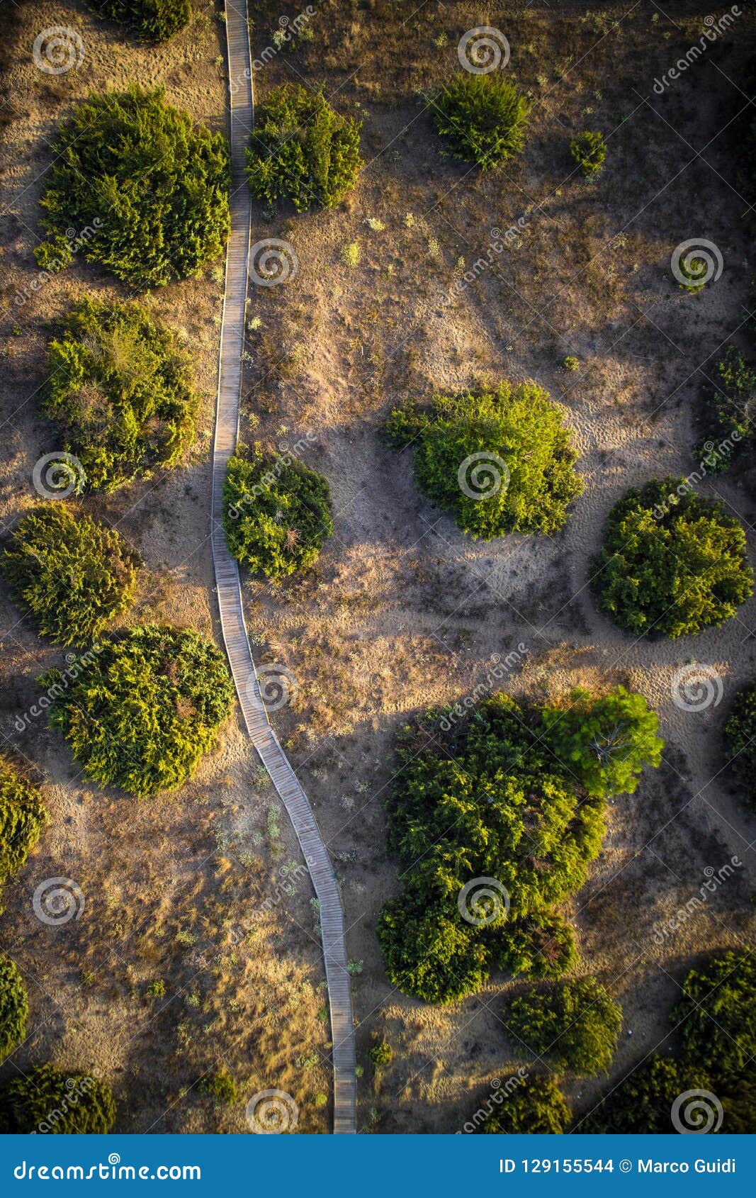 Pedestrian Path for Handicapped People Stock Photo - Image of ...