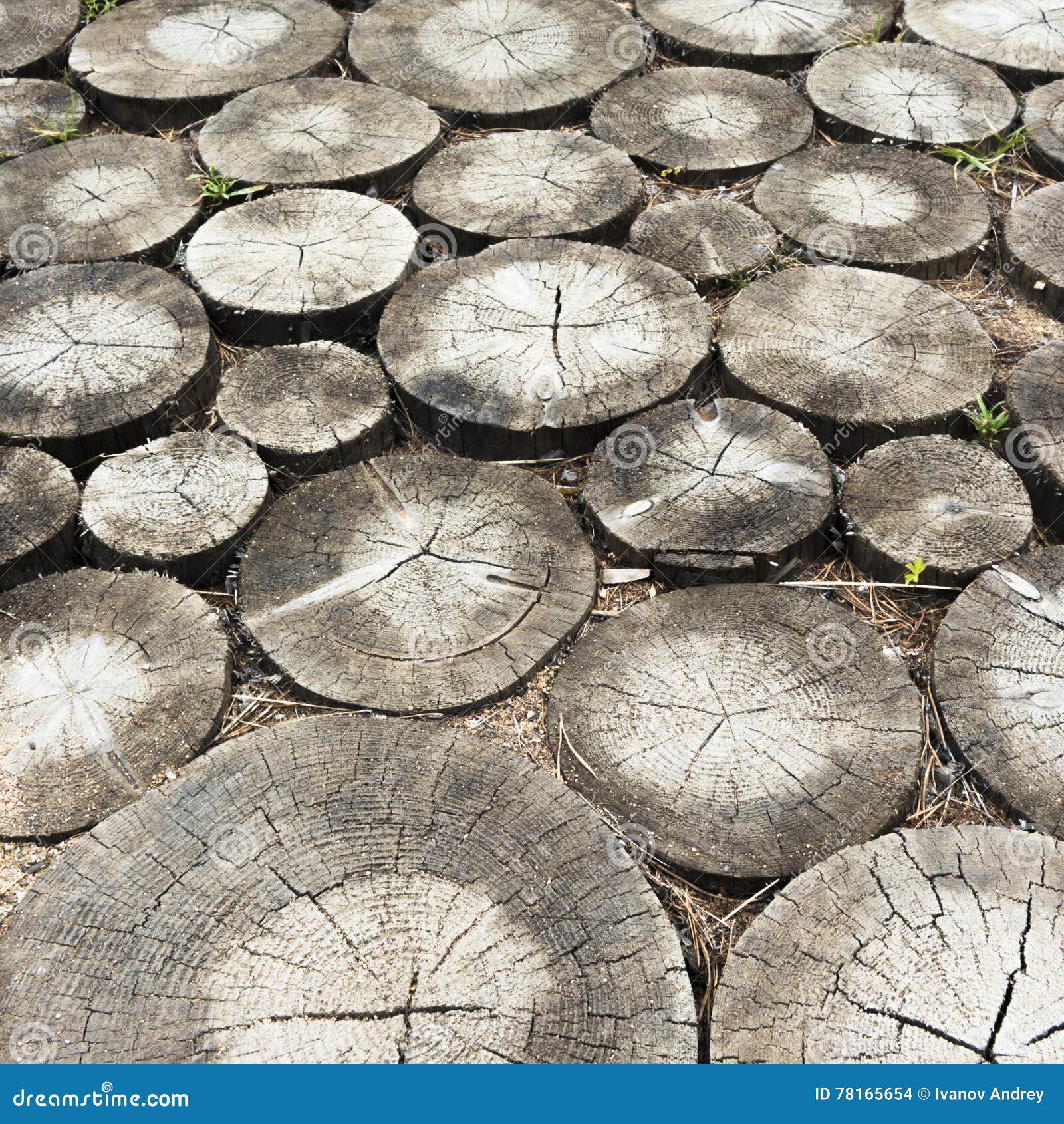 A Pedestrian Path Made of Logs Stock Photo - Image of bridge, suburb ...
