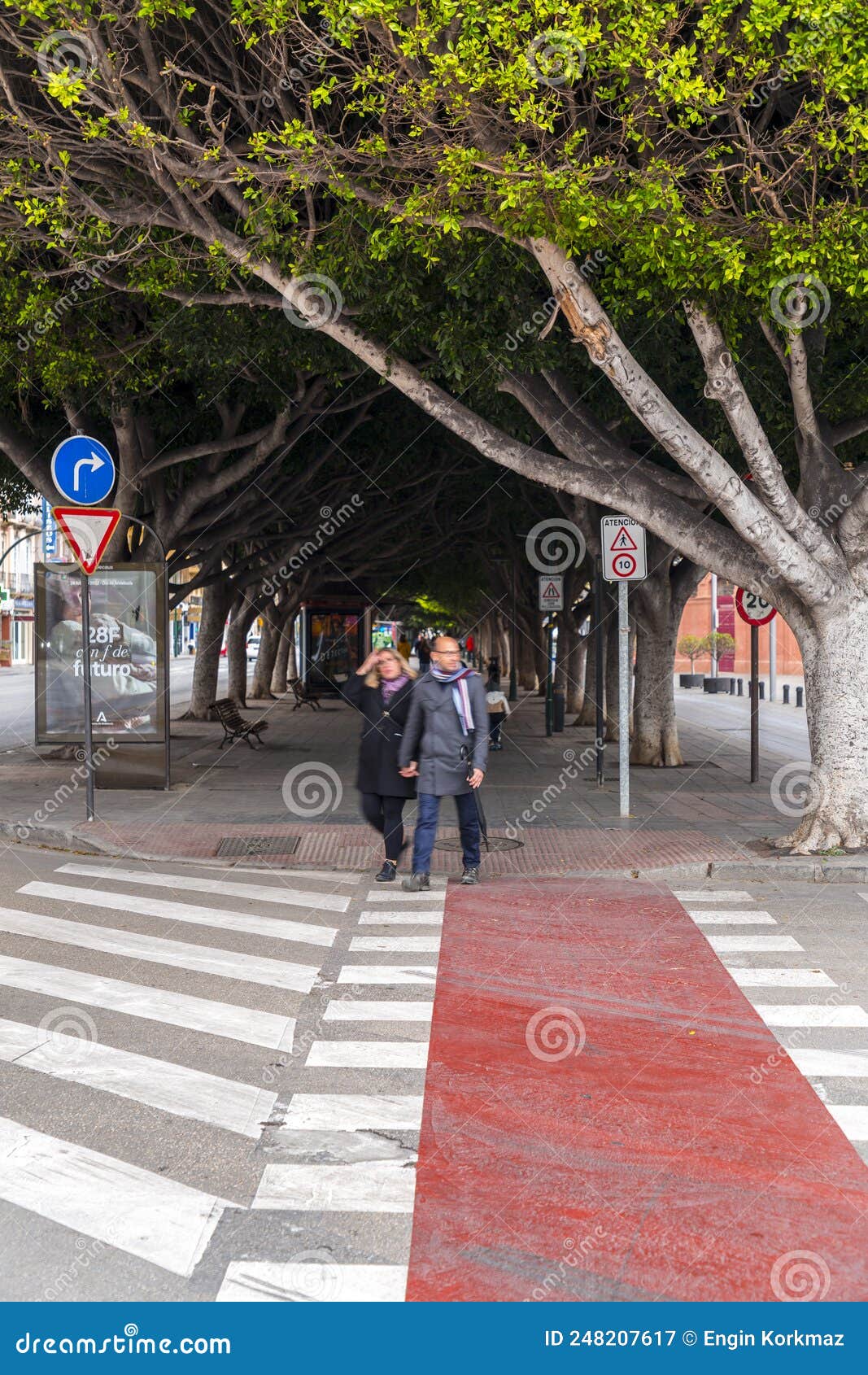Pedestrian Path with Majestic Trees in Malaga, Spain Editorial ...